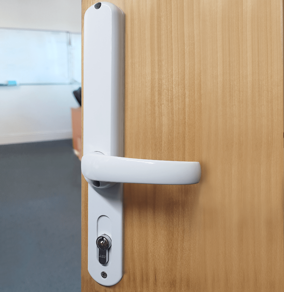 BL6100 - Narrow | Digital Door Lock | Borg Locks | Matrix Hardware